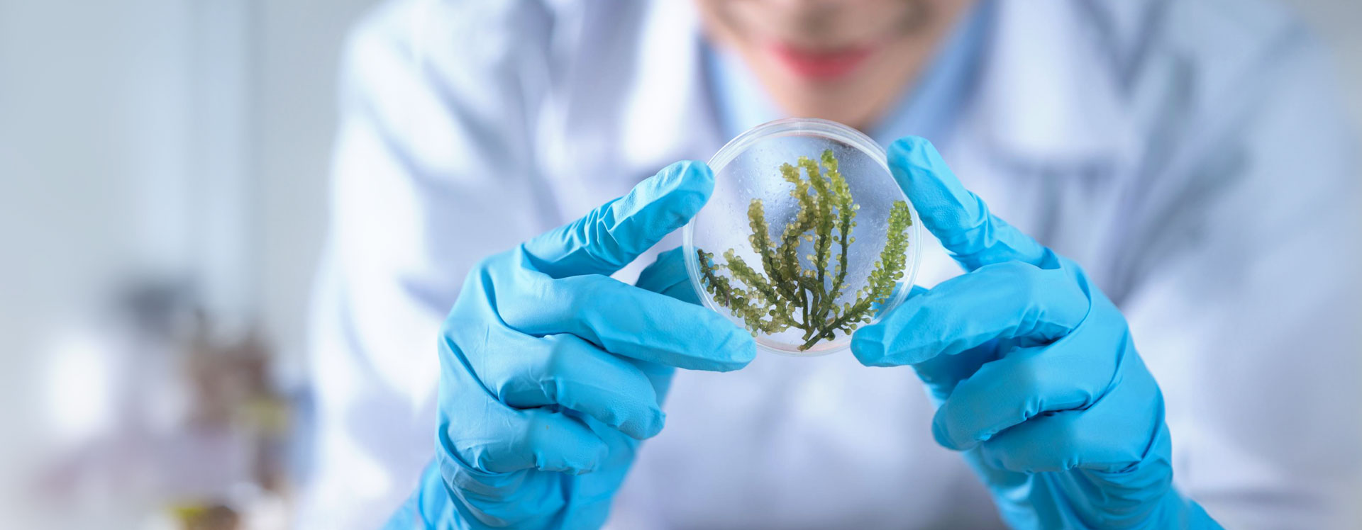 FEA-0800 - Microbiologia Molecula - FEA Unicamp